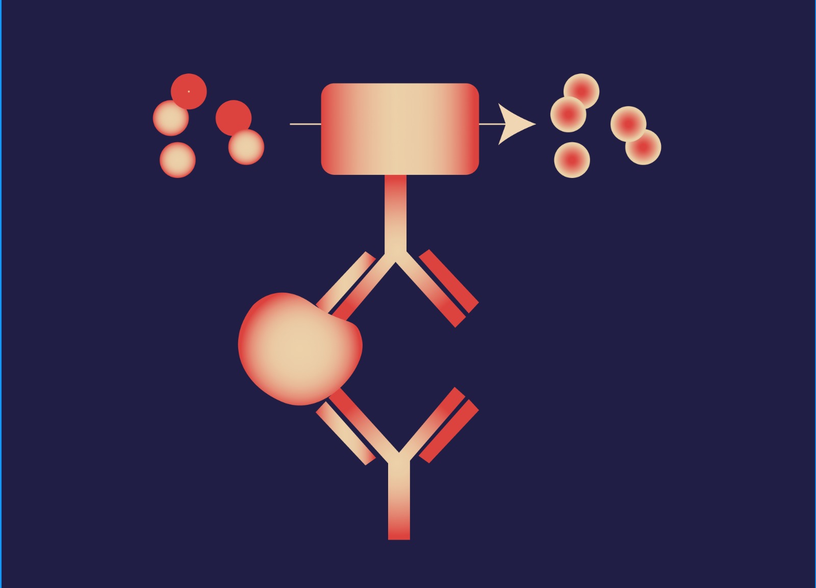 Unmatched Precision: IBT's Advanced ELISA Testing Capabilities to ...